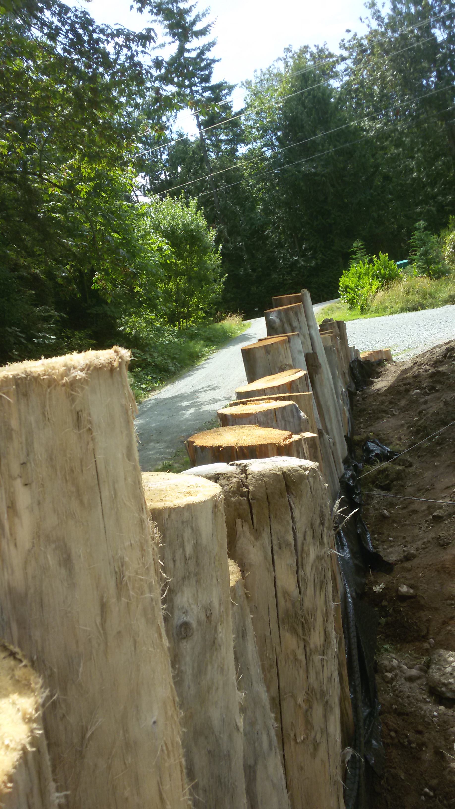 bulkhead 8 – Sunnyshore Studio