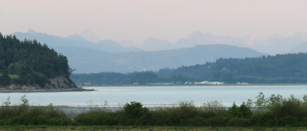 Beaches of Camano: Livingston Bay and Sundin Beach – Sunnyshore Studio