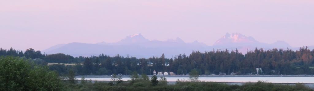 Beaches of Camano: Livingston Bay and Sundin Beach – Sunnyshore Studio