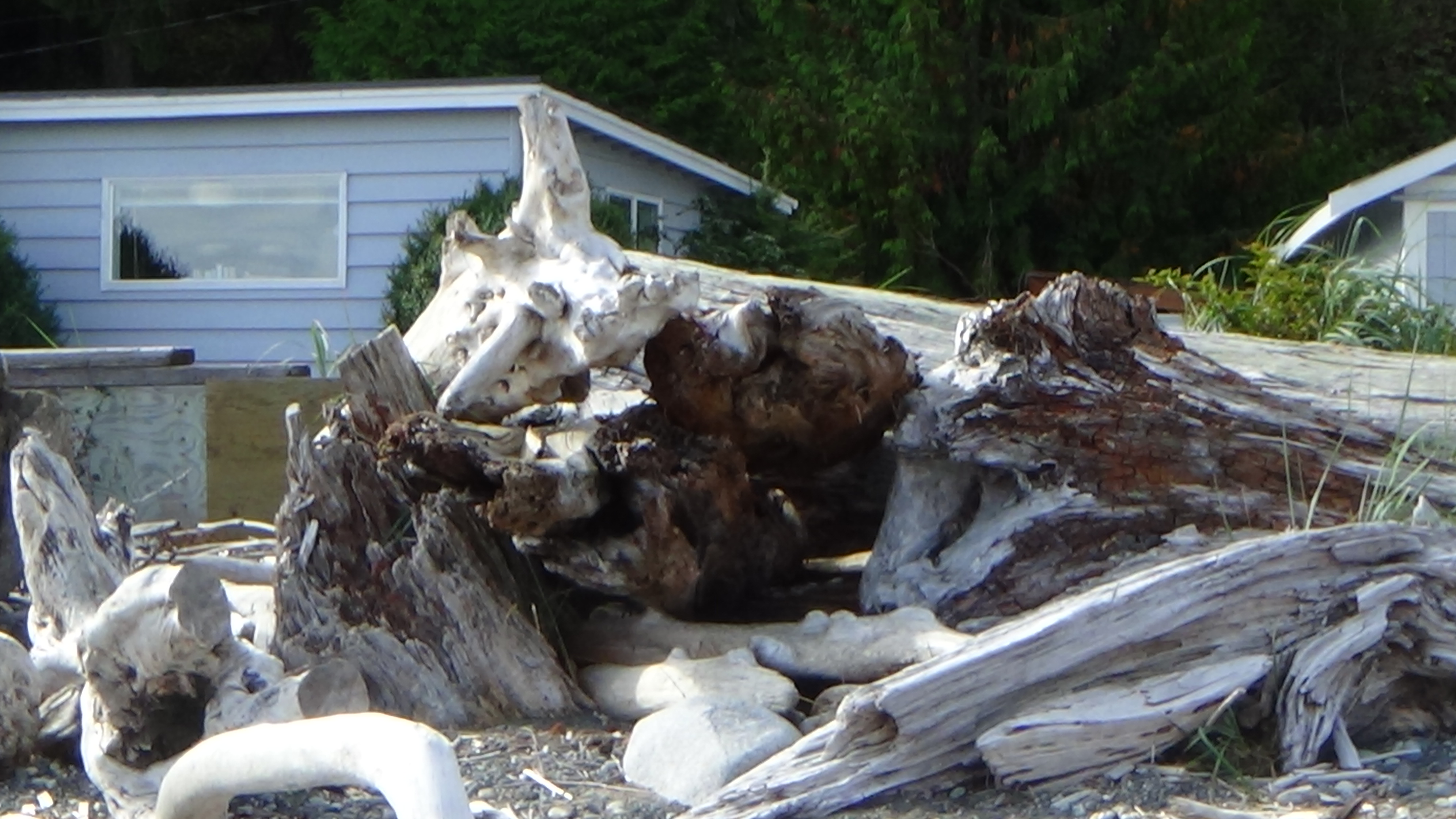 dsc02778 – Sunnyshore Studio