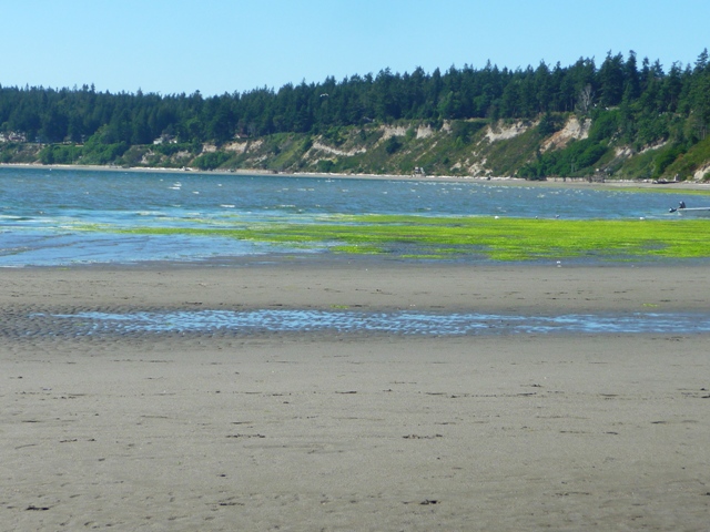 mabana-2 – Sunnyshore Studio