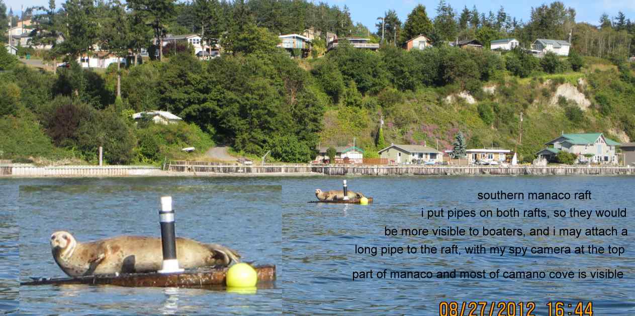 Beaches of Camano: Manaco Beach – Sunnyshore Studio